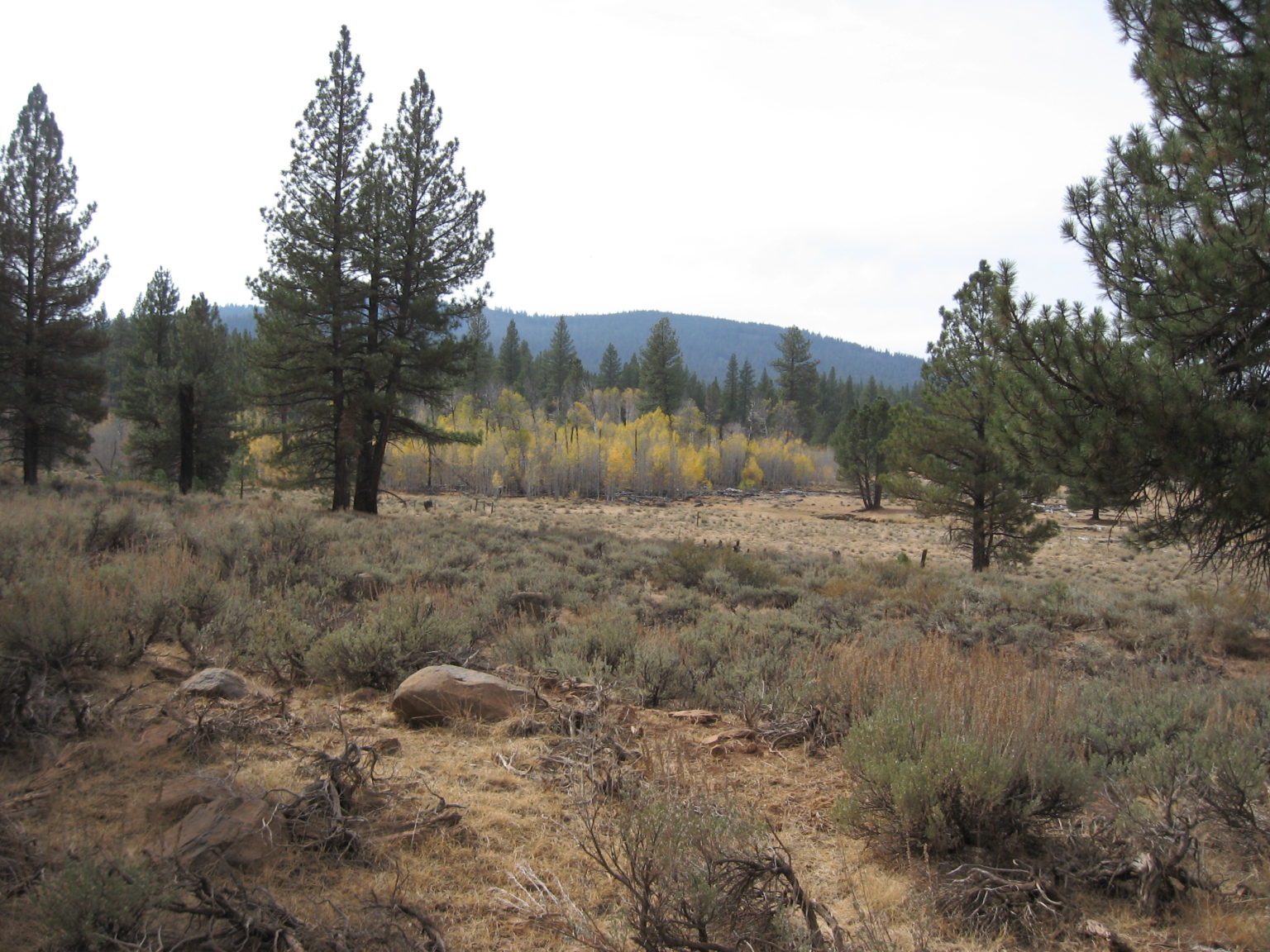 Logan Springs, Lassen County | Exploring Lassen County's Past