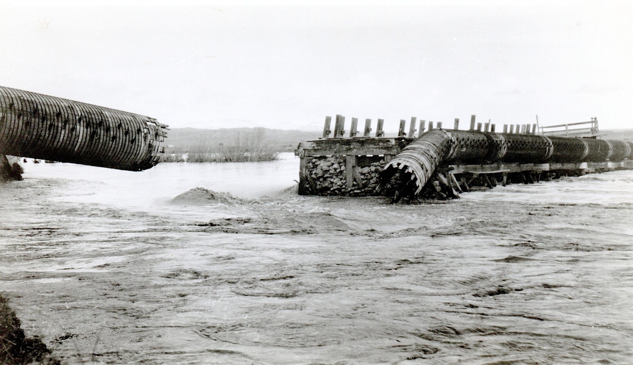 Tim’s Blog | Exploring Lassen County's Past