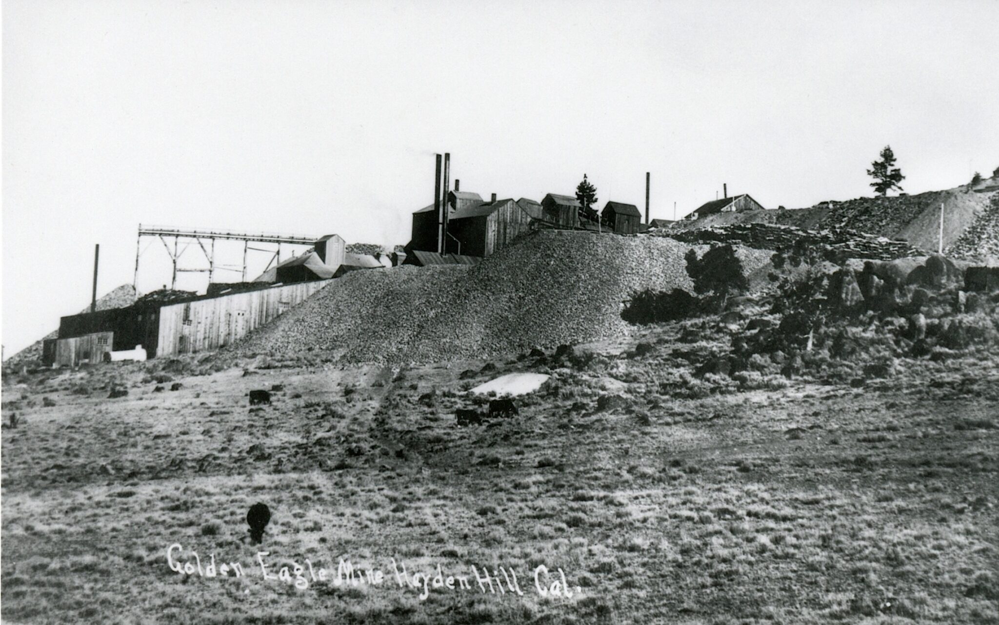 Black Damp at Hayden Hill | Exploring Lassen County's Past